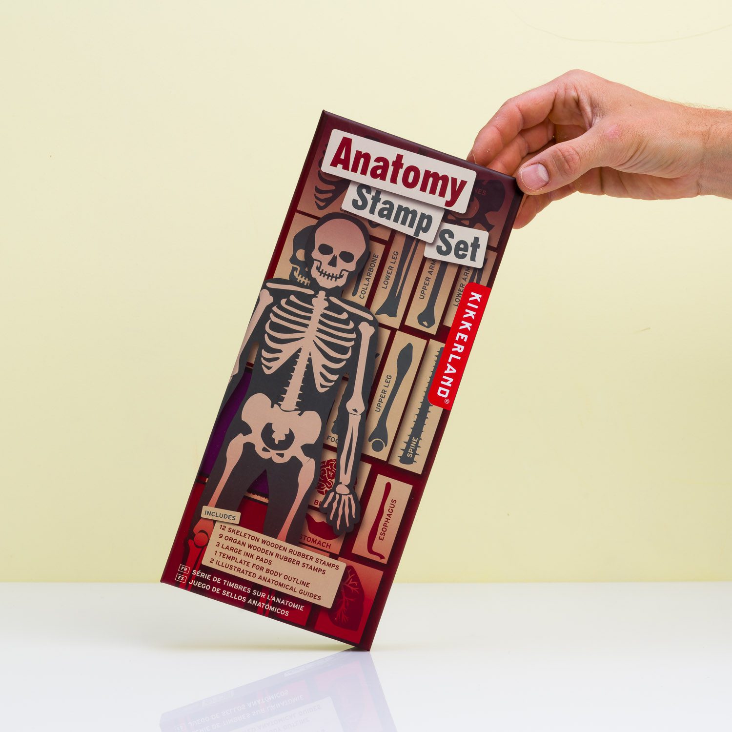 Anatomie-Stempelset - DER SALE-OF-THE-DAY: JEDEN TAG NEUE HIGHLIGHTS!